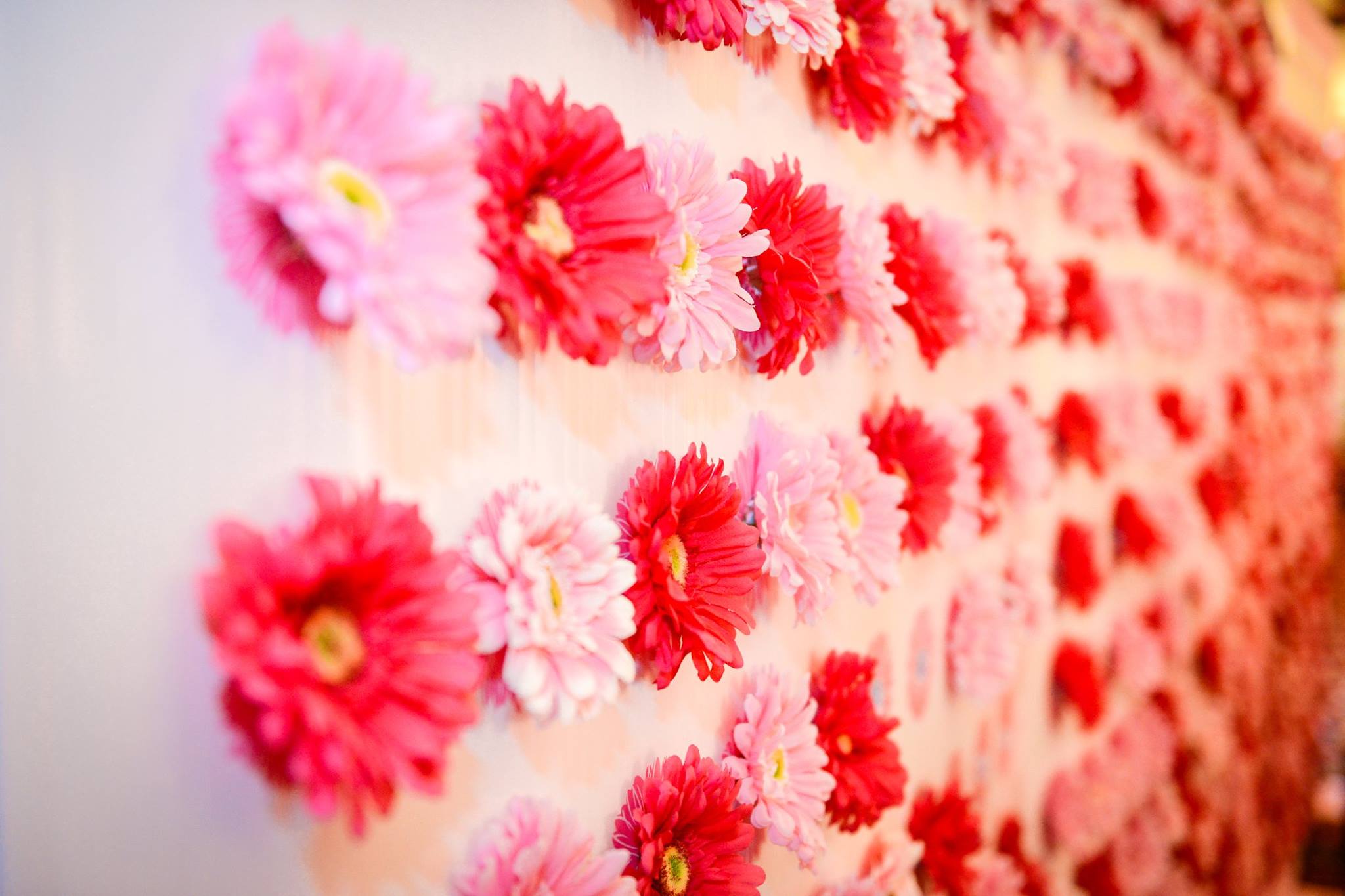 14th Annual Go Pink Luncheon | Boca Raton Resort & Club – Dalsimer ...